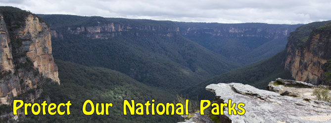 Blue Mountains Conservation Society - The Candidates - State Election 2019